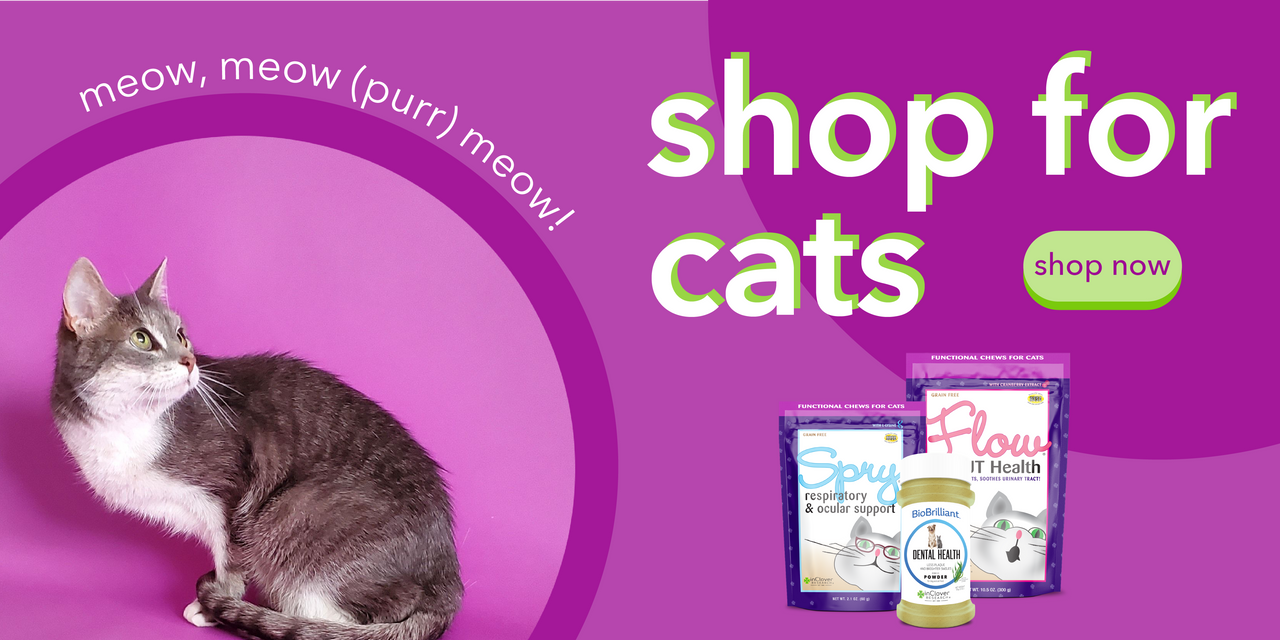 InClover Supplements | Clinically Proven Supplements for Dogs & Cats ...