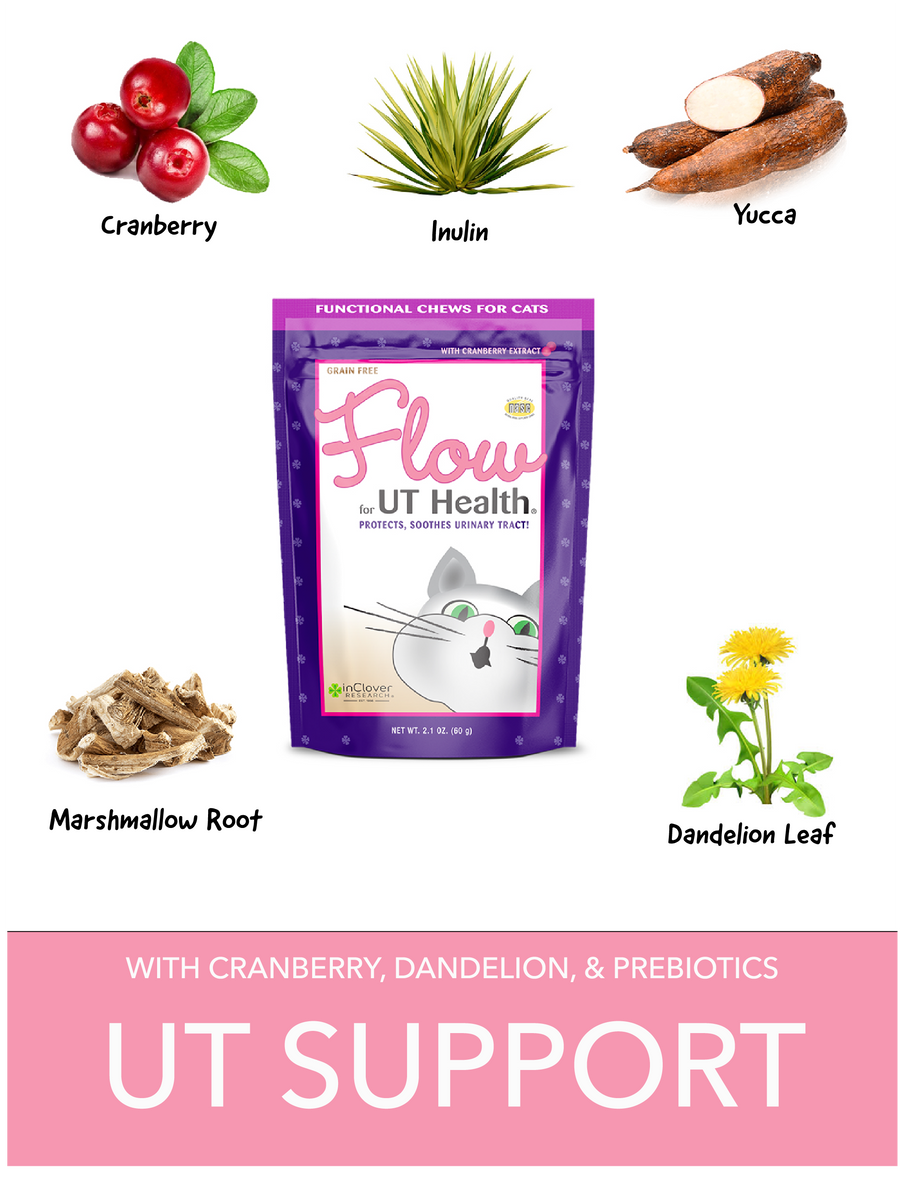 Flow | UT Health Soft Chew With Cranberry Extract for Cats – InClover ...